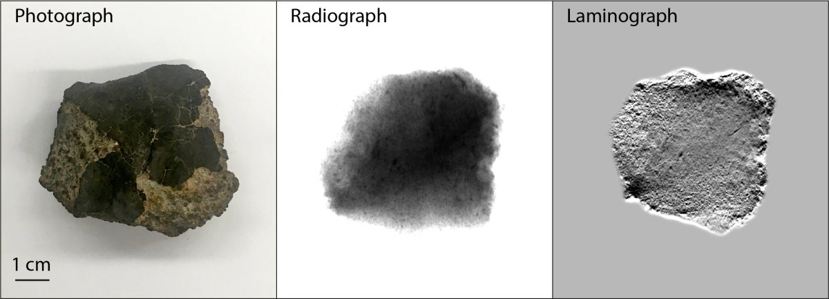 Radiographs and laminographs | BOSCORF